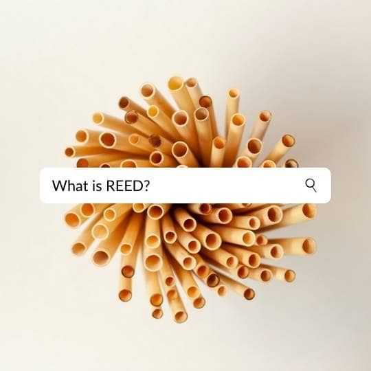 What is REED? – Straws and Stuff